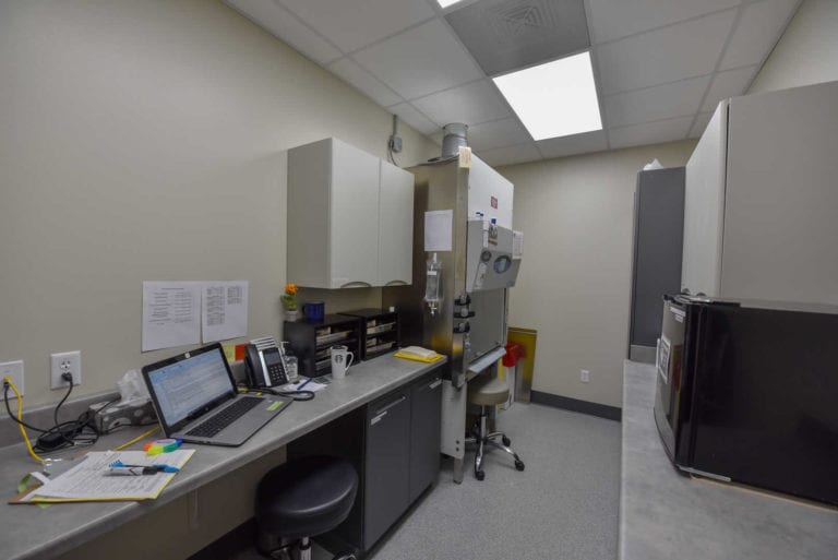 Hospital Tour - Madison Veterinary Specialists