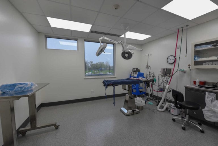 Hospital Tour - Madison Veterinary Specialists