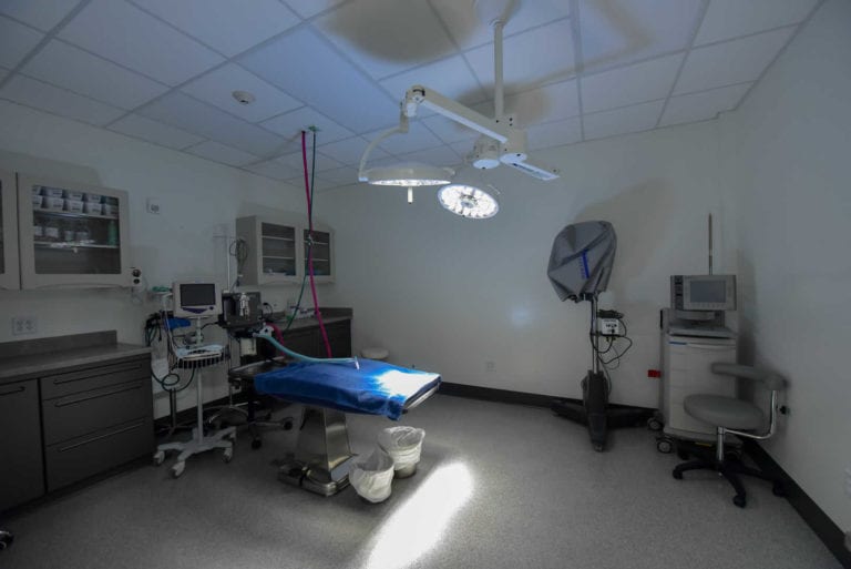 Hospital Tour - Madison Veterinary Specialists