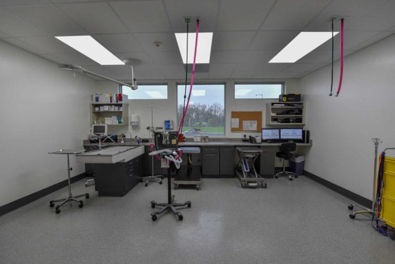Hospital Tour - Madison Veterinary Specialists