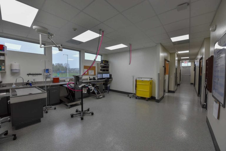 Hospital Tour - Madison Veterinary Specialists