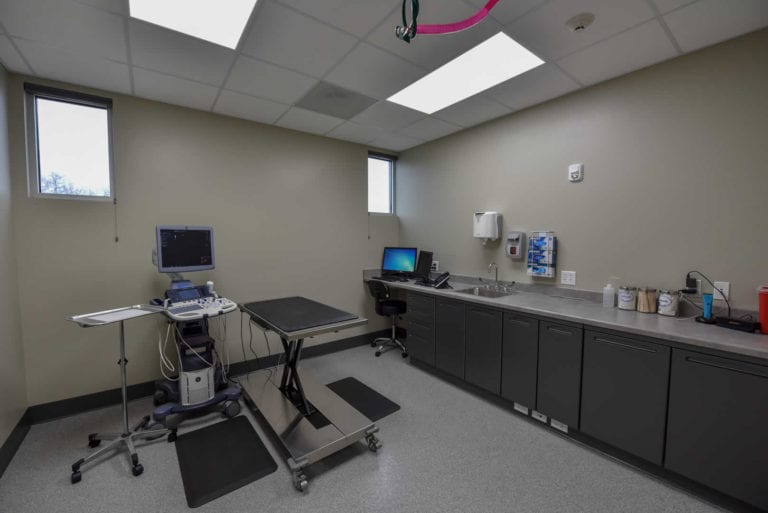 Hospital Tour - Madison Veterinary Specialists