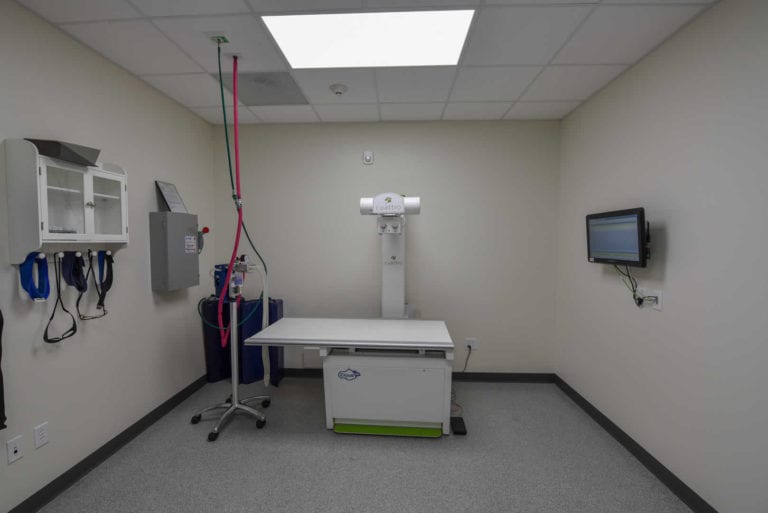 Hospital Tour - Madison Veterinary Specialists