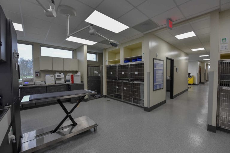 Hospital Tour - Madison Veterinary Specialists