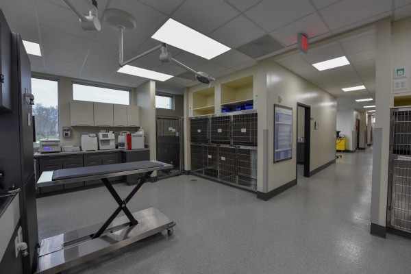 Hospital Tour