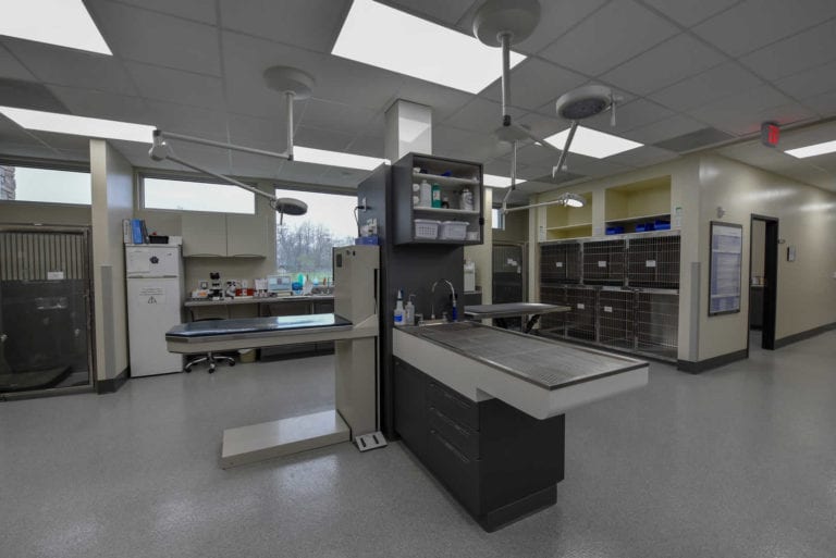 Hospital Tour - Madison Veterinary Specialists