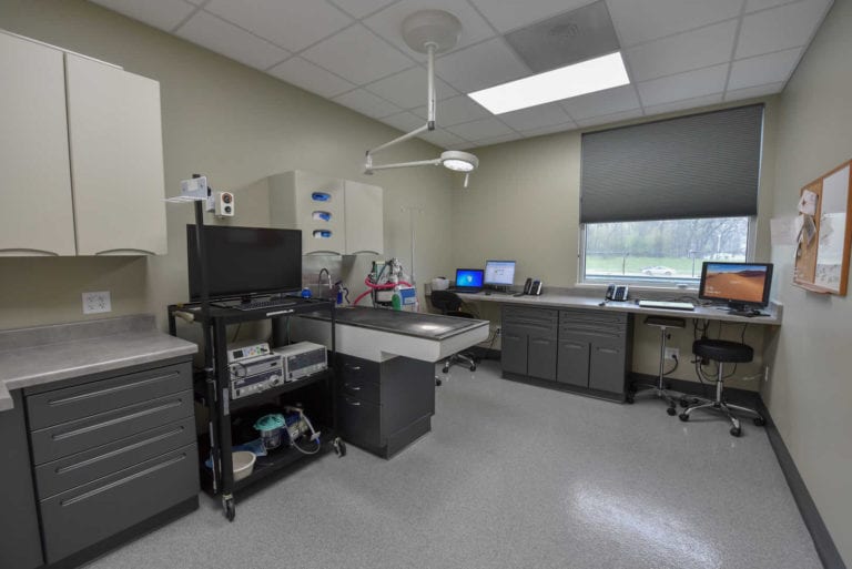 Hospital Tour - Madison Veterinary Specialists