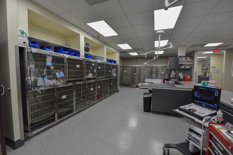 Hospital Tour - Madison Veterinary Specialists