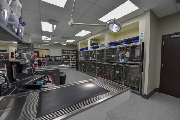 Hospital Tour - Madison Veterinary Specialists