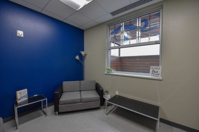 Hospital Tour - Madison Veterinary Specialists