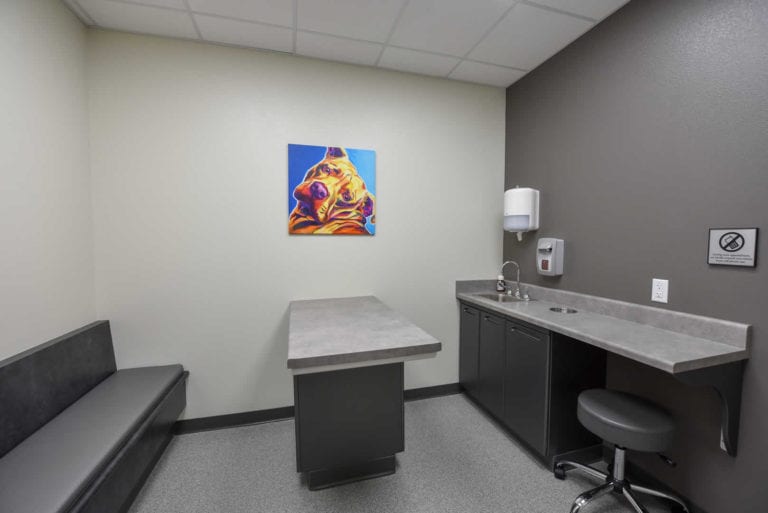 Hospital Tour - Madison Veterinary Specialists