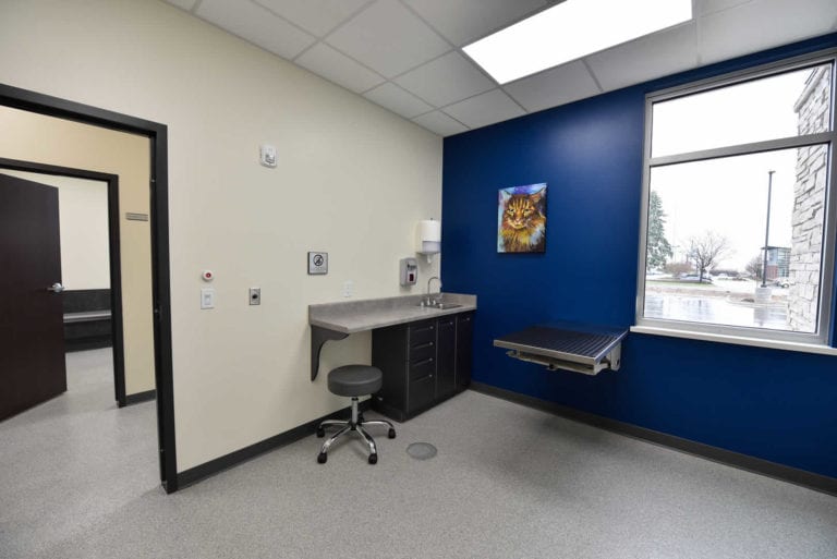 Hospital Tour - Madison Veterinary Specialists