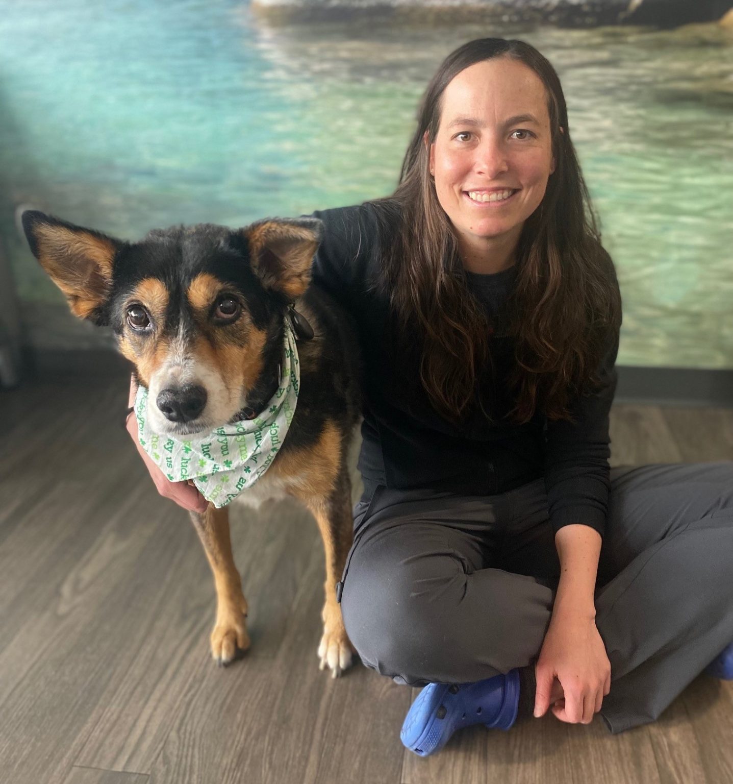 Staff Department: Emergency - Madison Veterinary Specialists