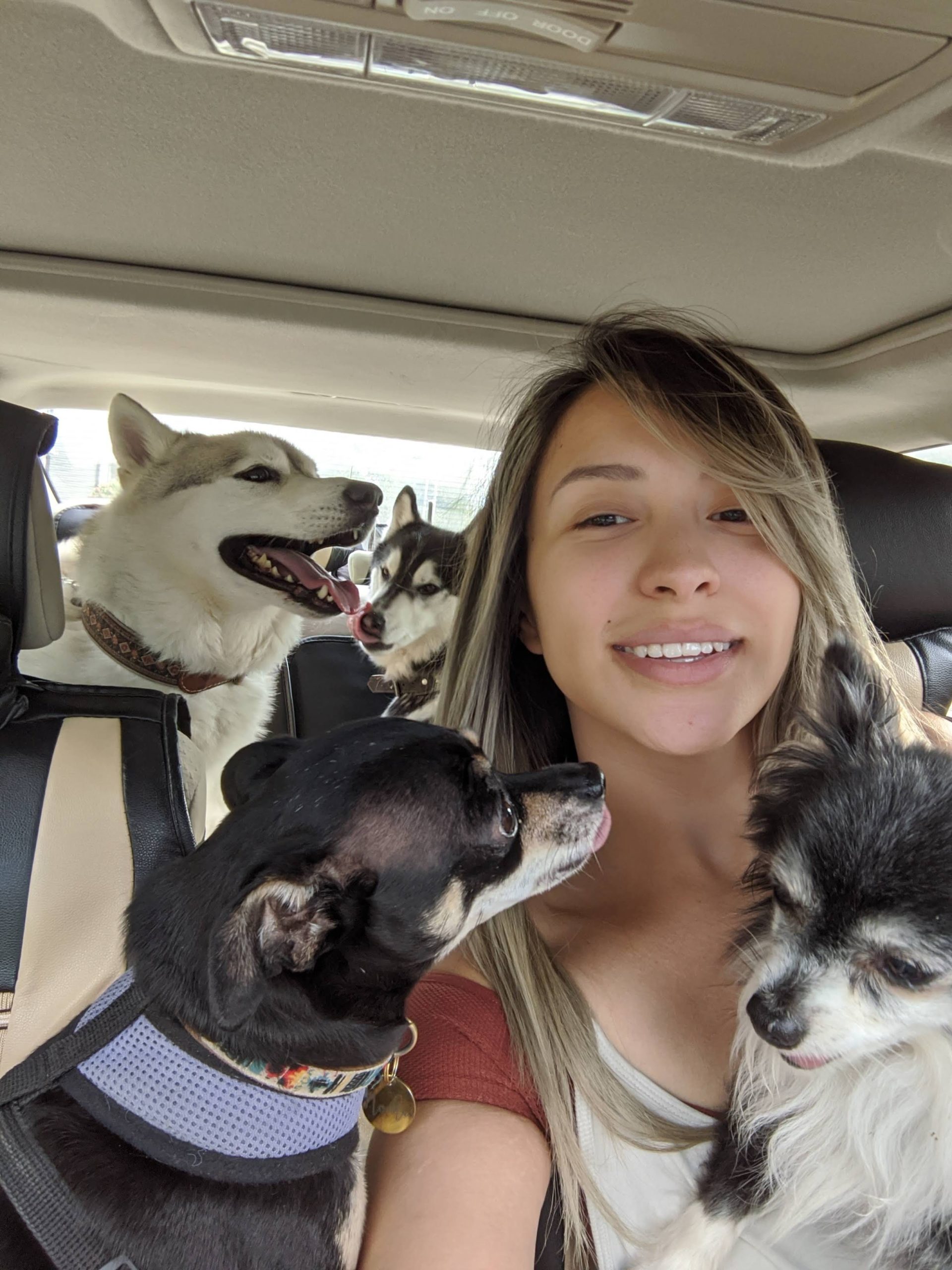 Administration - Madison Veterinary Specialists